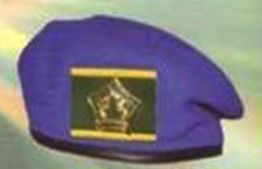 Dunia Militer Etc: Jenis baret TNI AD