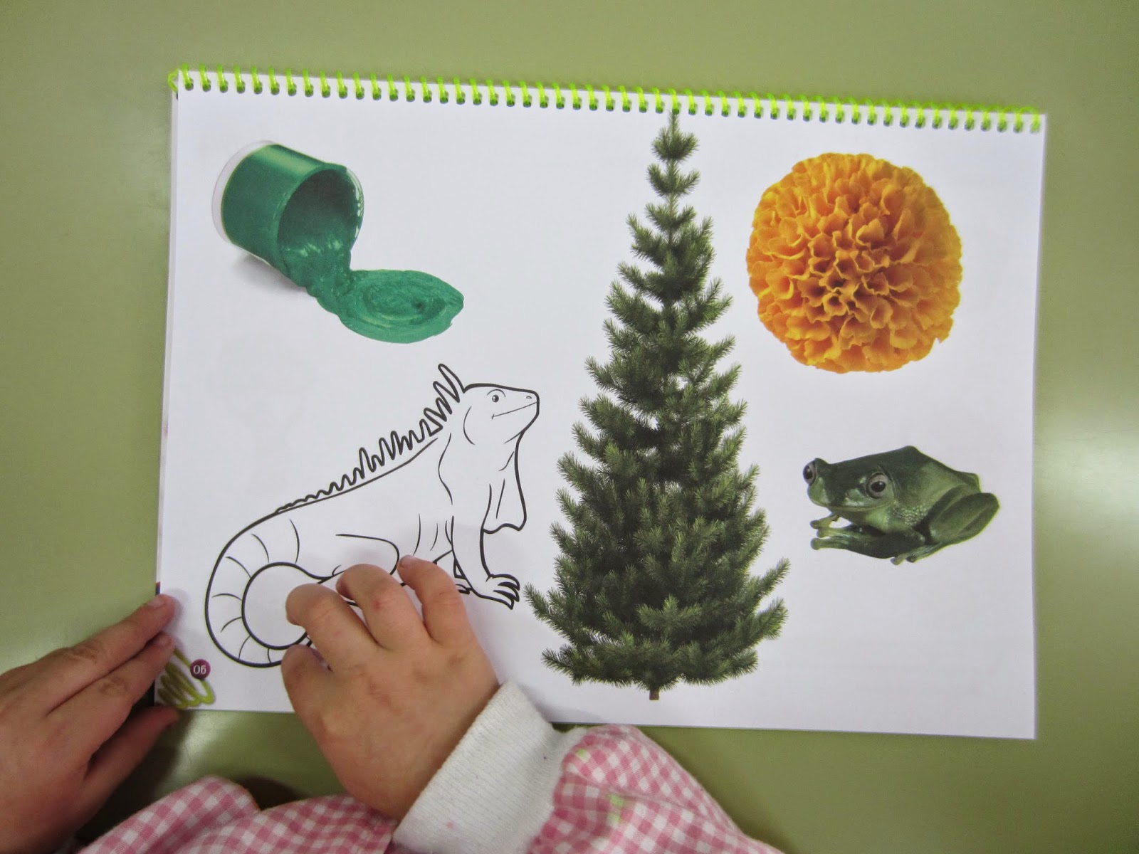 BLOG DE PATRI, educación infantil: ¡¡¡EL COLOR VERDE!!!