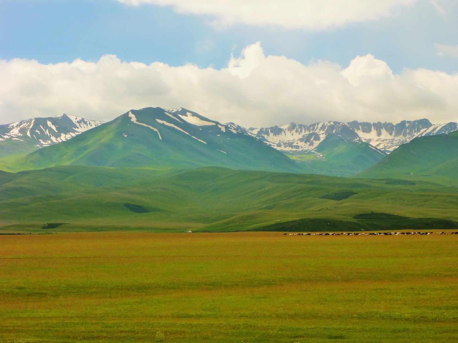 LIVIN MY DREAM - MY OVERLAND JOURNEY