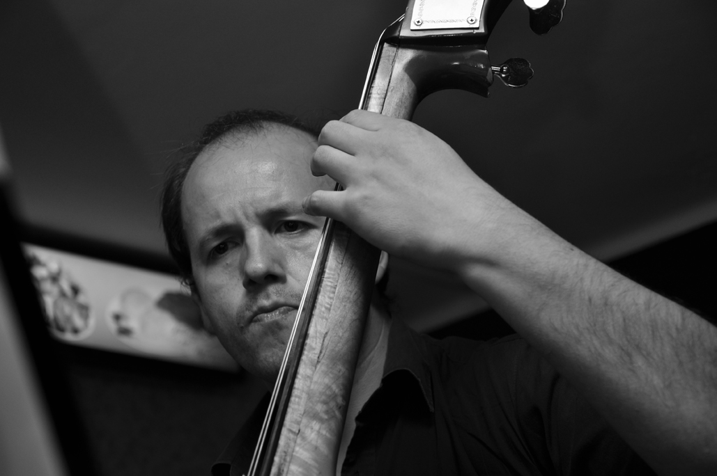 Rodrigo Alvarez Vidal - Músico: 2011