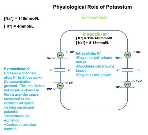 Tutor's Notes: general, cardiovascular, respiratory and renal ...