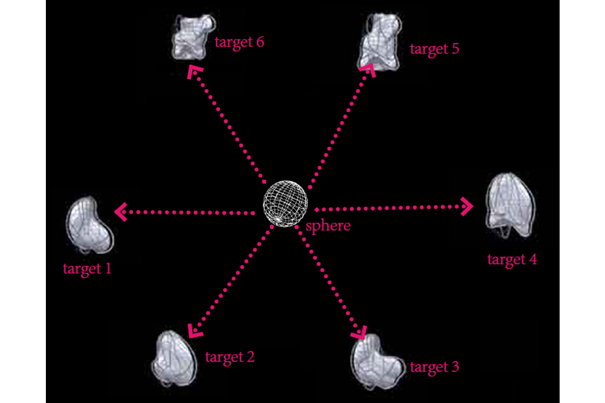 Future House(s):Genealogy: Embryological House