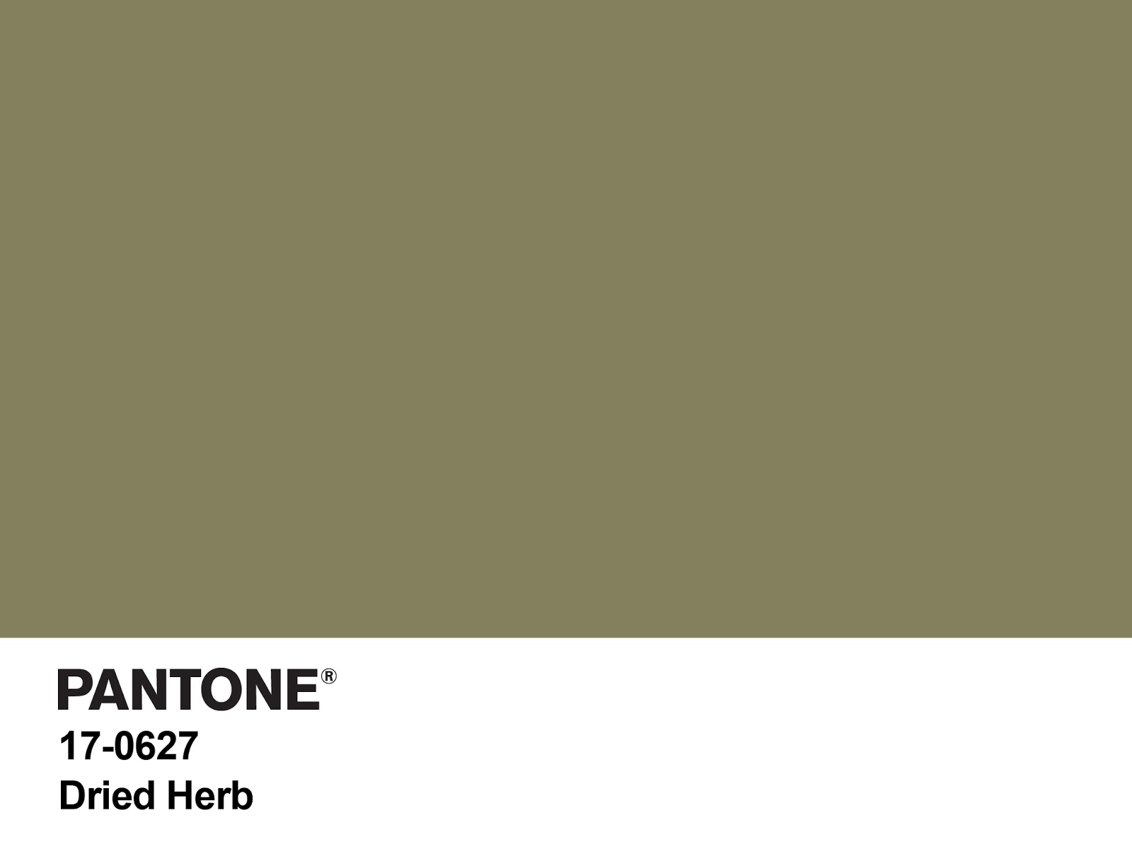 DRIED HERB: MI COLOR DEL OTOÑO 2015