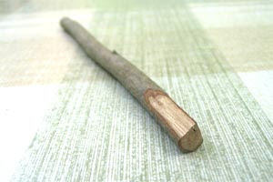 Ancient Babylon: Writing