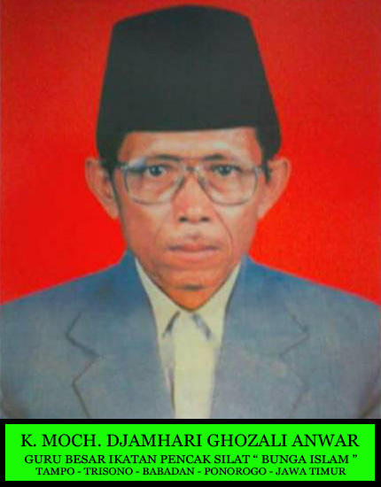 SANTRI BUNGA ISLAM KEDIRI: IKATAN PENCAK SILAT BUNGA ISLAM