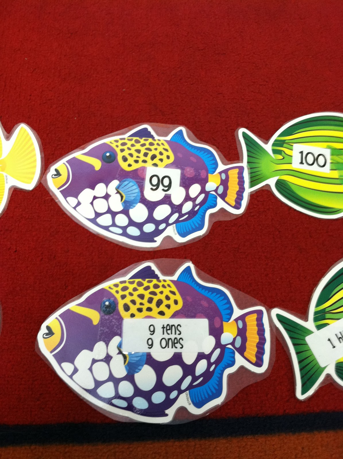First Grade Fabulous Fish: At the Aquarium - Contractions, Possessive ...