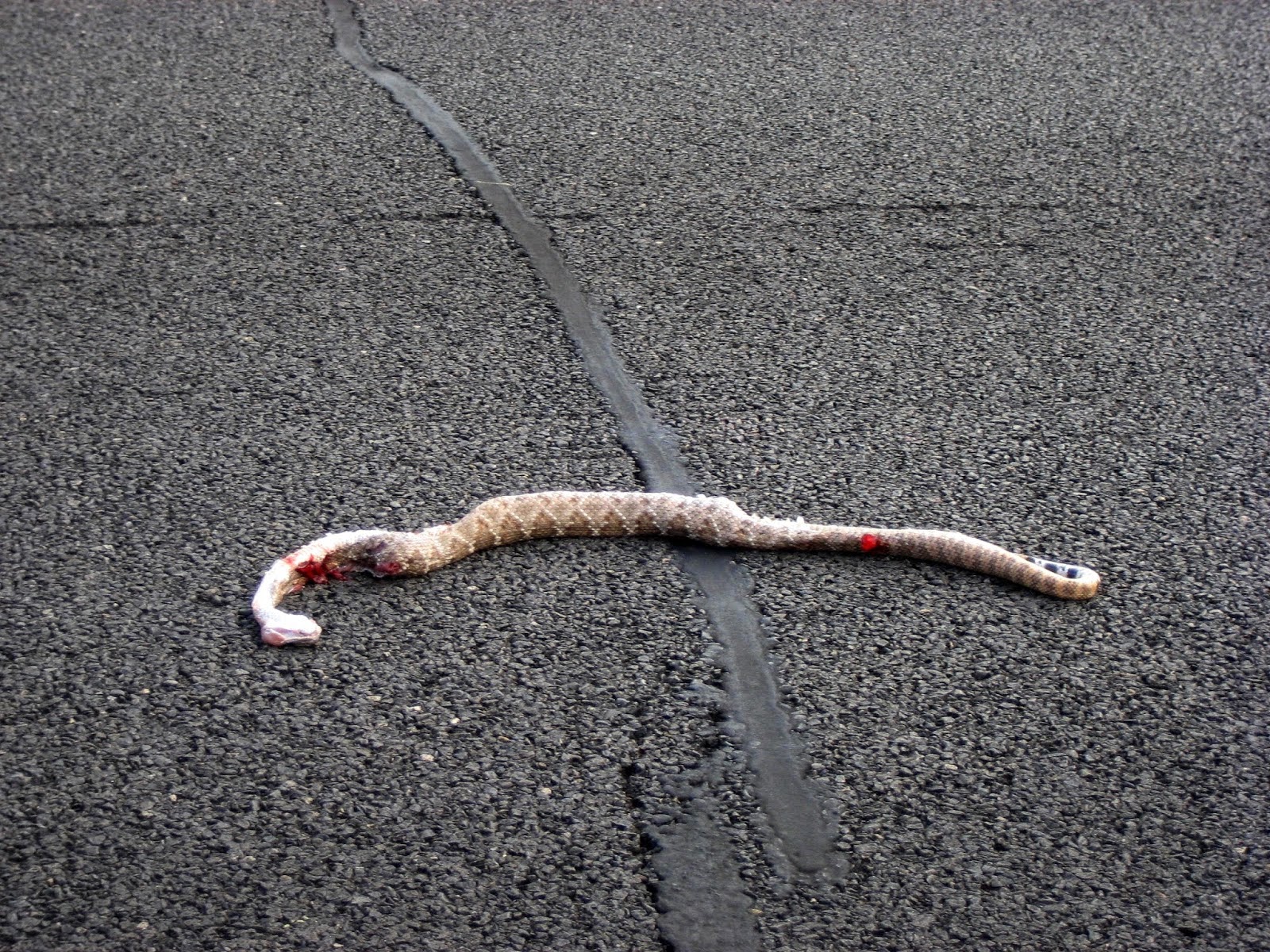 TIMLENNOX.COM: July 2014