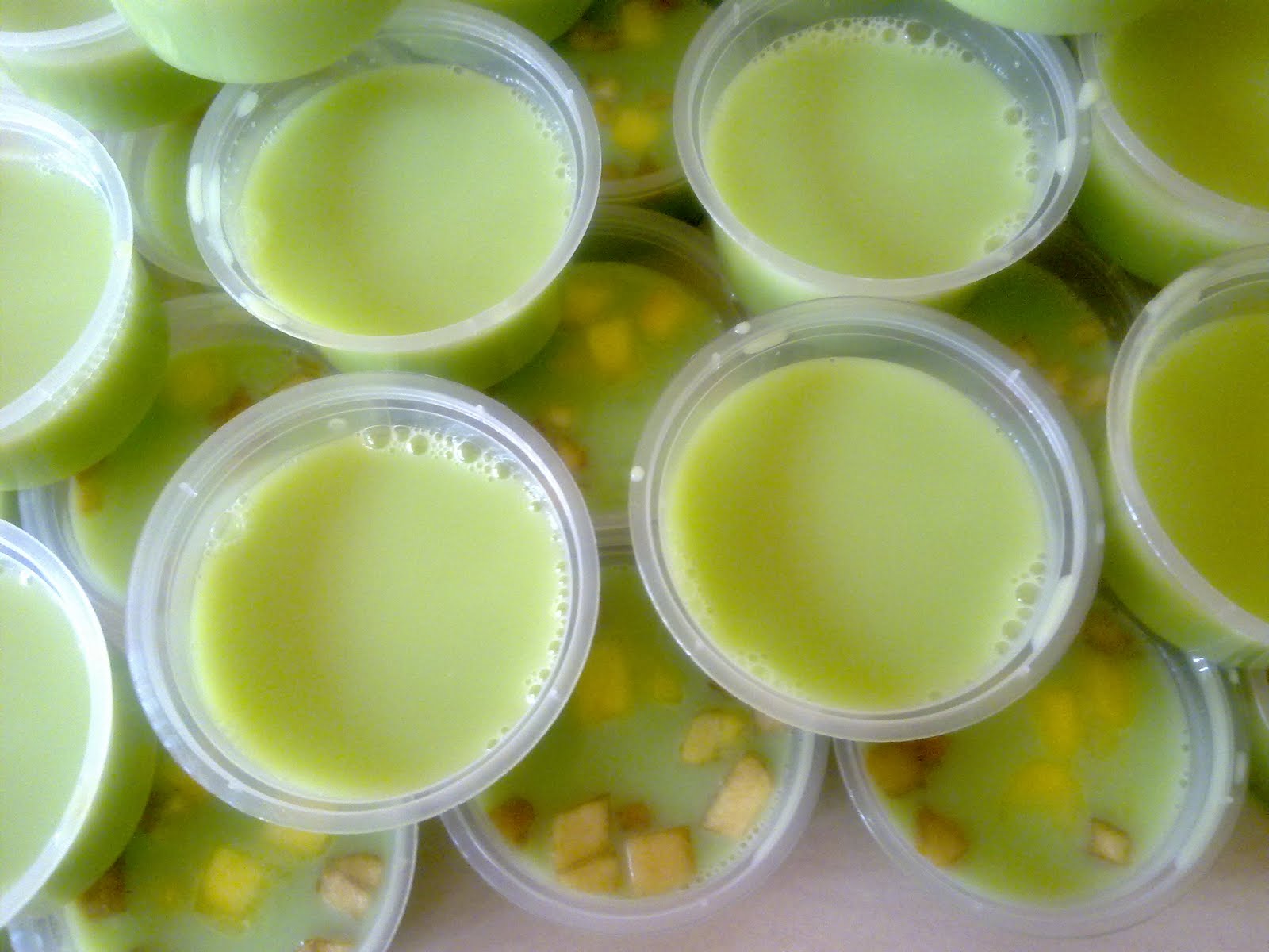 Emma Memories: Dadih Blueberry & Kiwi