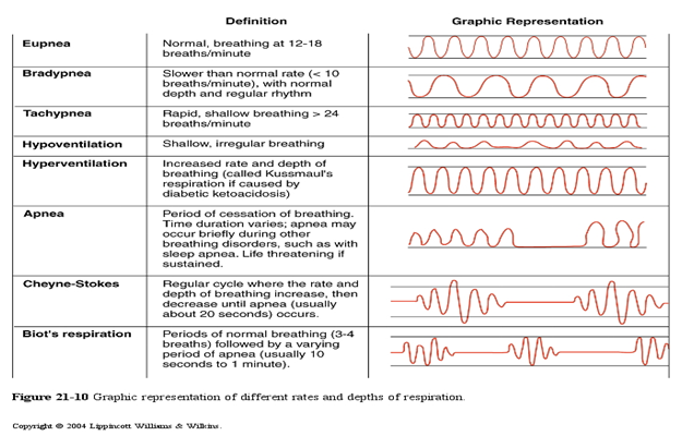 Professional Caregiving Reviewer: Vital Signs or Cardinal Signs