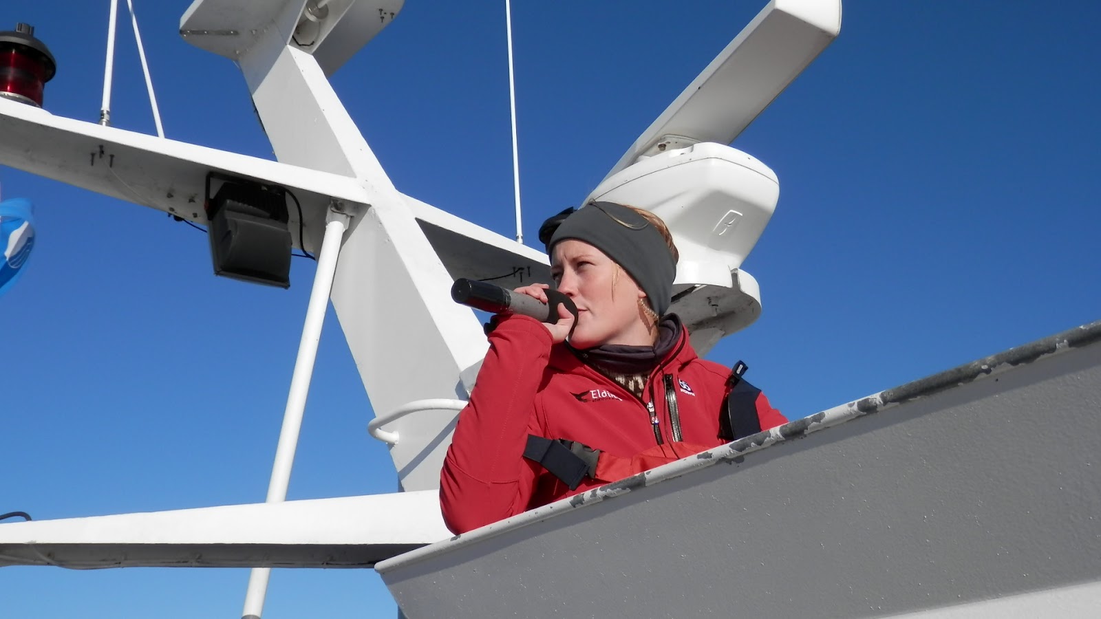 Travel with Kevin and Ruth: Whale Watching in Iceland