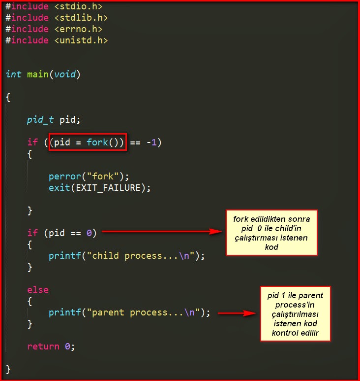 C' de fork ve exec Kavramı ~ C Learning Tutorials