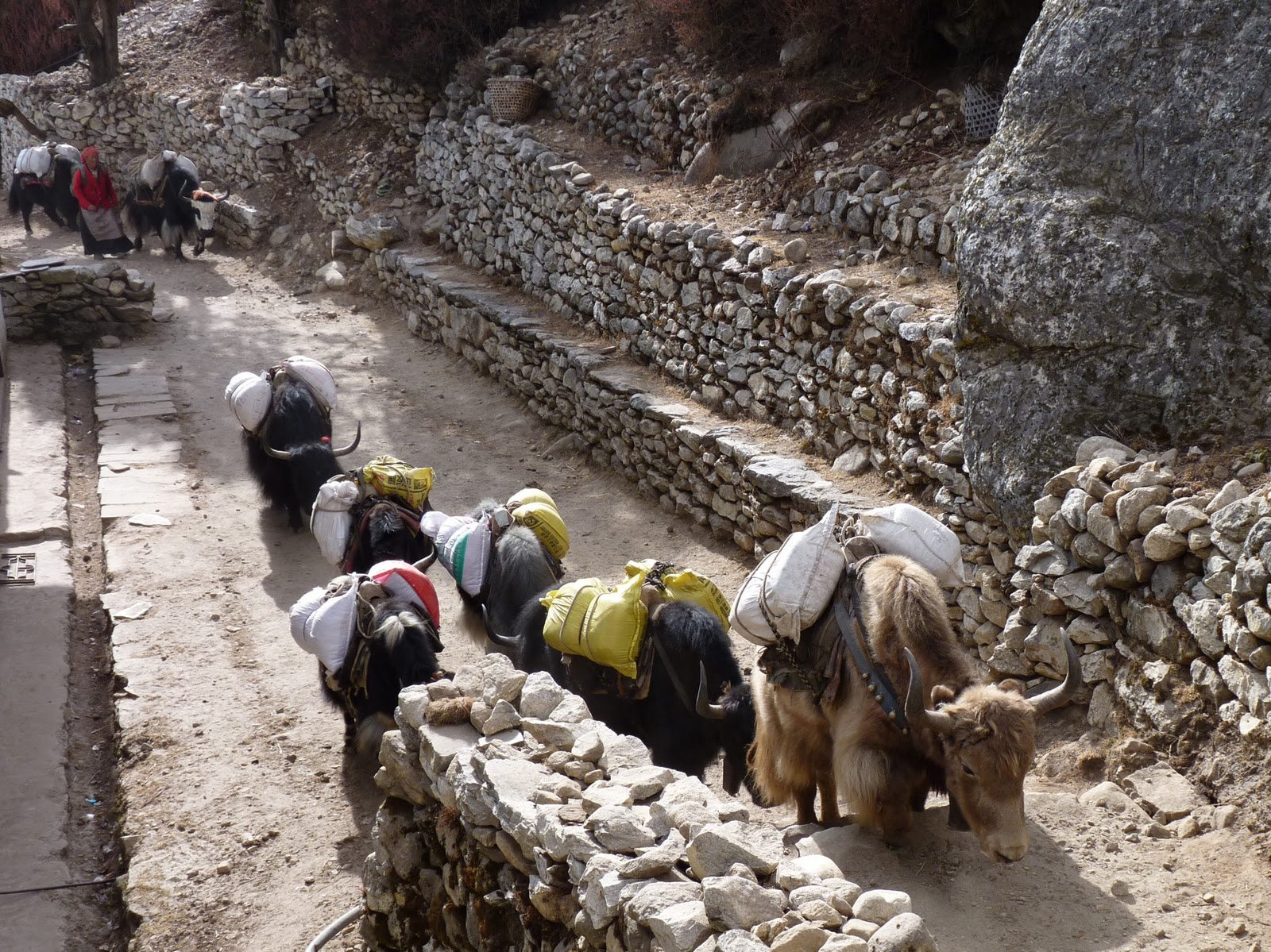 The blog of Alastair Clifford - Everest Base Camp Trek and Island Peak ...