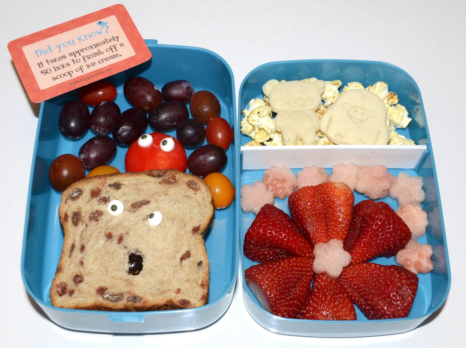 Blame it on the bento: Sandwich faces easy lunches