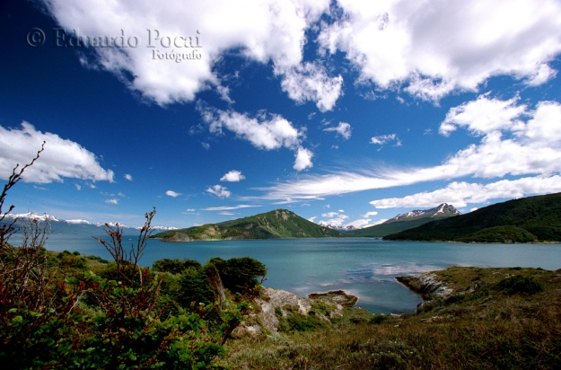 " Amar la Naturaleza Para Mantener La Vida": 3er. jueves de noviembre ...