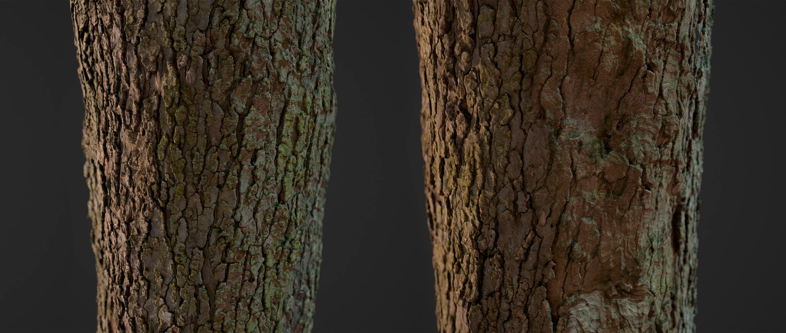 Download Free Photogrammetry Tile Textures - Bark Pack 01 | Computer ...