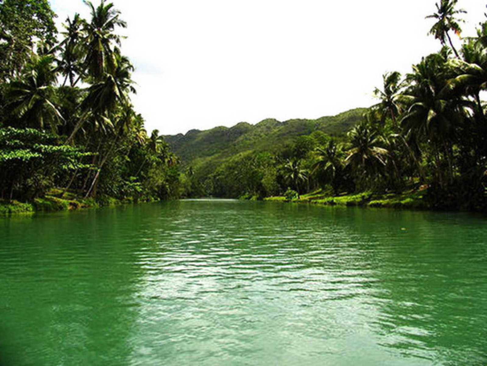 SHARE HOUSE BOHOL BLOG in Philippines near Cebu: Loboc River
