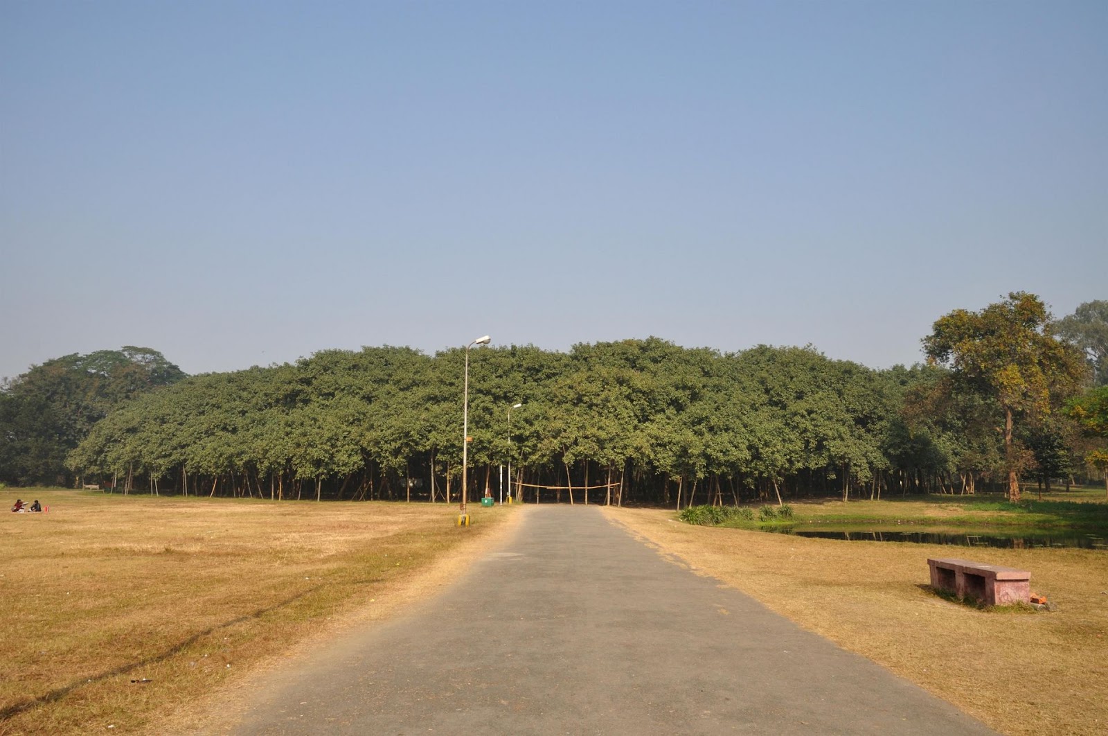 DebaOnline4U: Mystrey Place - 2 Mother of all trees - Great Banyan tree ...