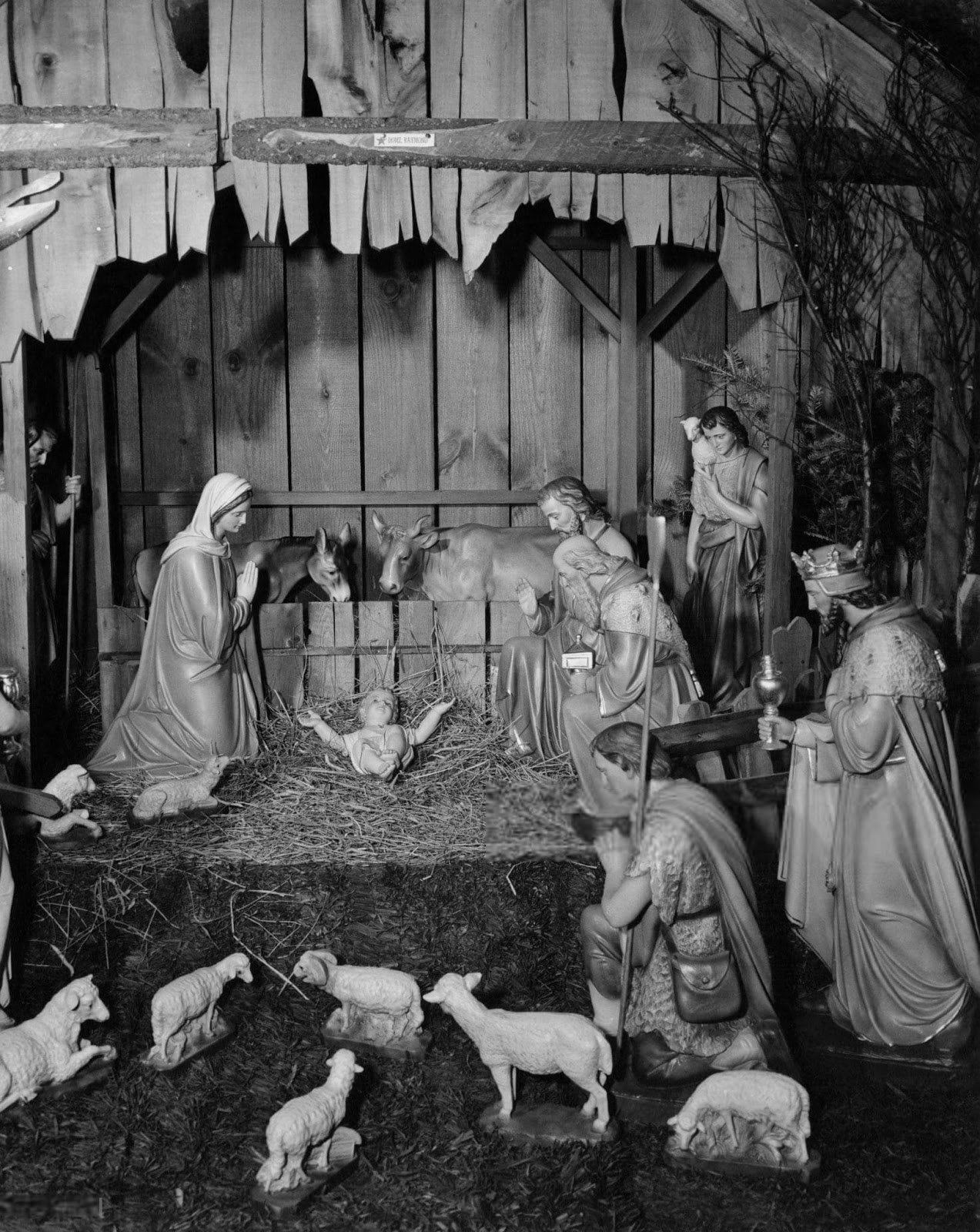 Christmas Nativity Scene Pictures Images & Photos Download