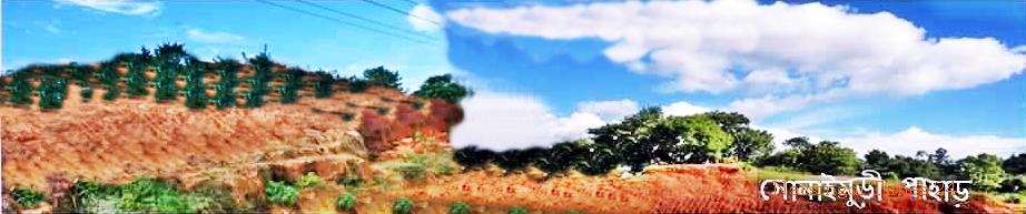 NarsingdiTimes24: Shibpur upazila tradition