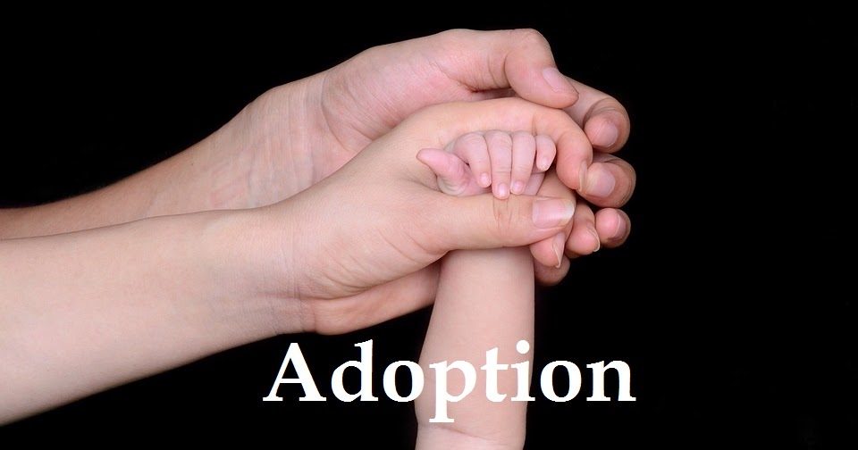 MCDL Genealogy Adoption Records mcdl-genealogy-adoption-records