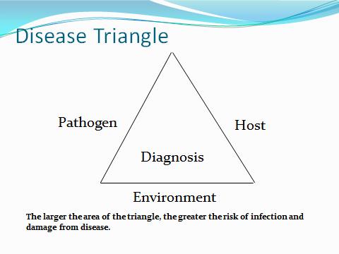 Just Don't Call it Grass: Get the Most From Your Fungicides