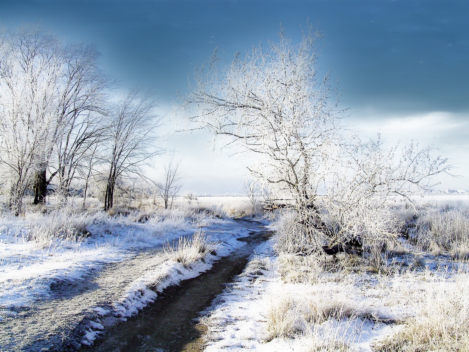 Winter Desktop Backgrounds ~ Free Wallpapers For PC