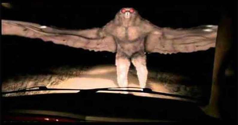 Calvin's Canadian Cave of Coolness: Mysterious ‘Mothman’ Captured On ...