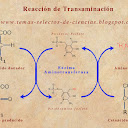 Temas Selectos de Ciencias