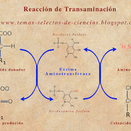 Temas Selectos de Ciencias