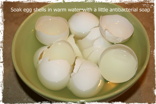 Such a Pretty Mess: How to Make Your own Eggshell Mosaic Embellishments!!