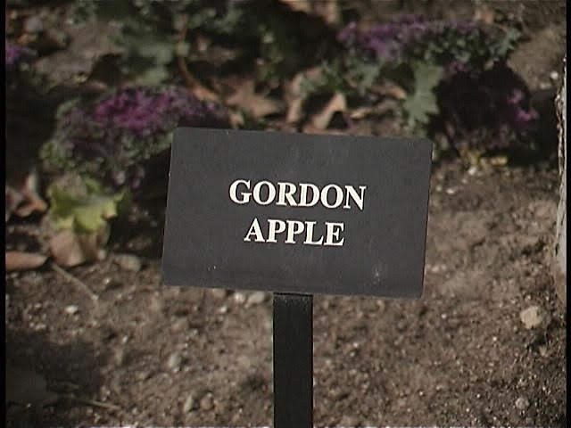 Drop In Again Sometime