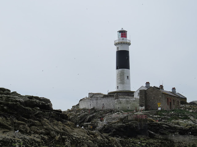 Pete's Irish Lighthouses: Rockabill