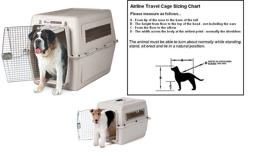 Little Pet House - Your Budget Friendly Online Pet Shop in Singapore ...