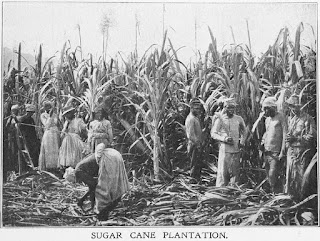 WORDS FROM MURPHY BROWNE: AUGUST 18-20, 1823 ENSLAVED AFRICANS AND AN ...