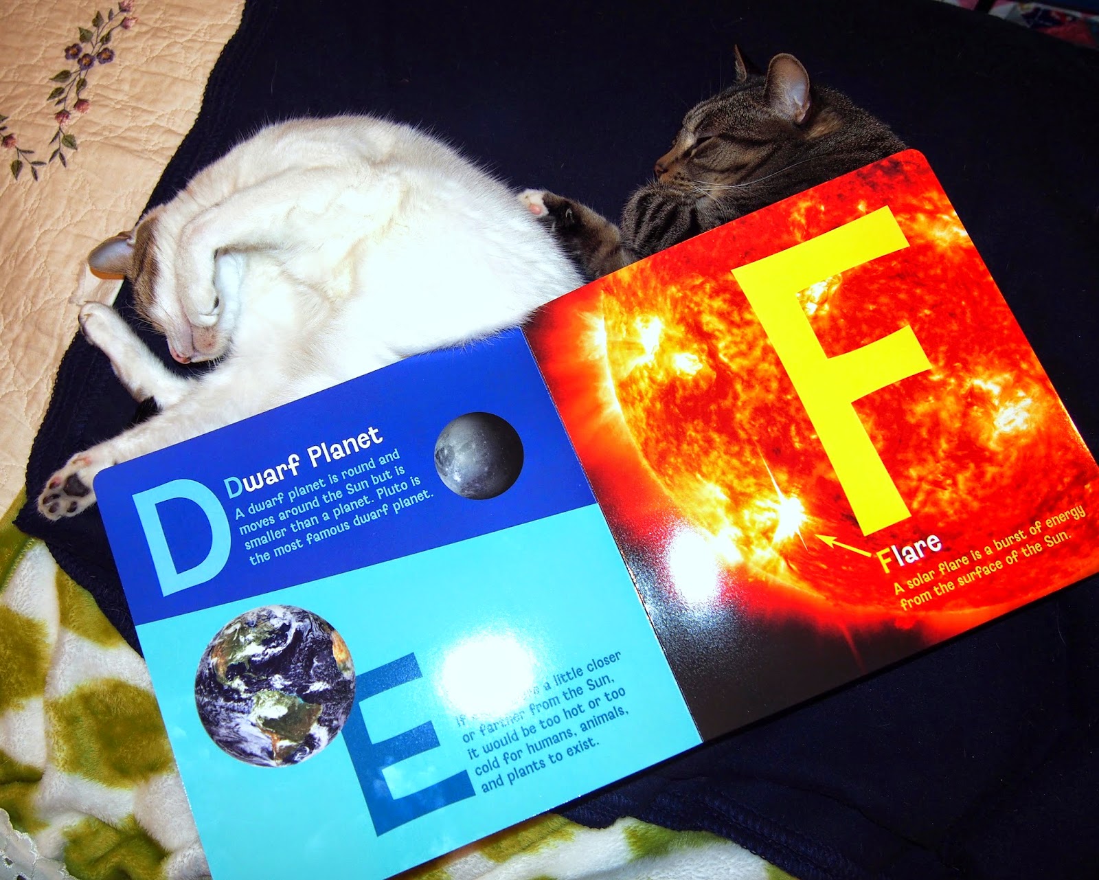 Bookfoolery : ABC Universe by the American Museum of Natural History ...