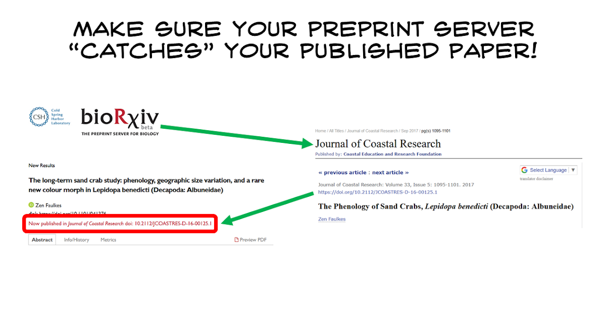 NeuroDojo: A pre-print experiment, continued