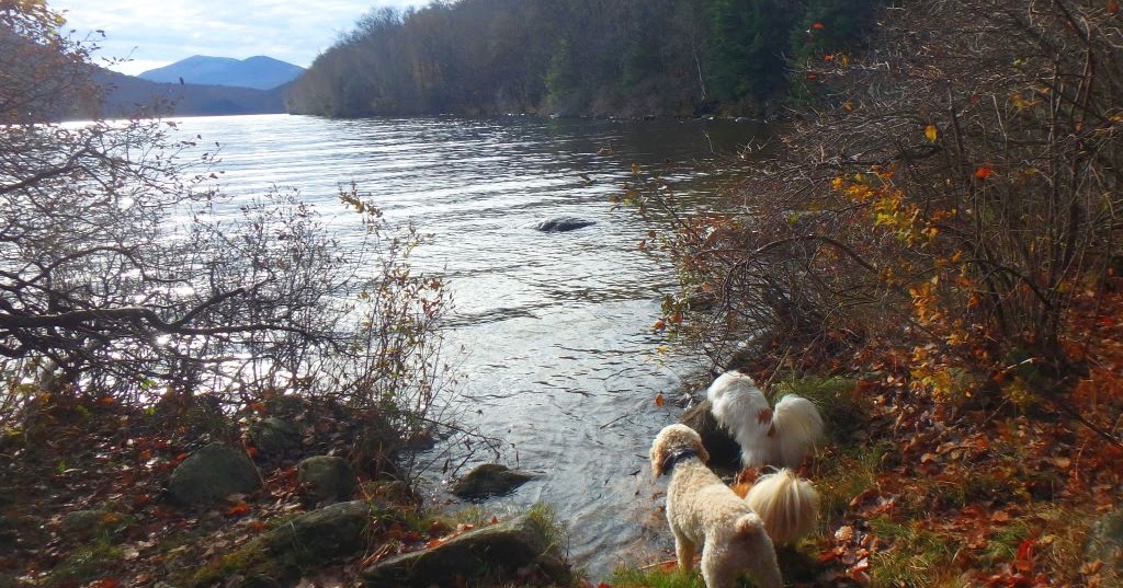 Windswept Adventure: Adventure To Debar Pond Lodge - Part 3