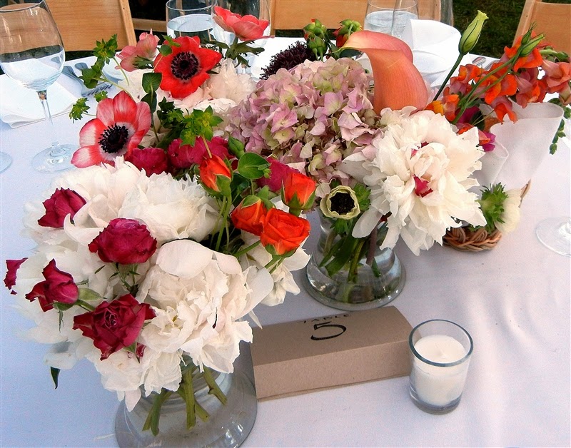 Capadia Designs: A Week of Celebrations