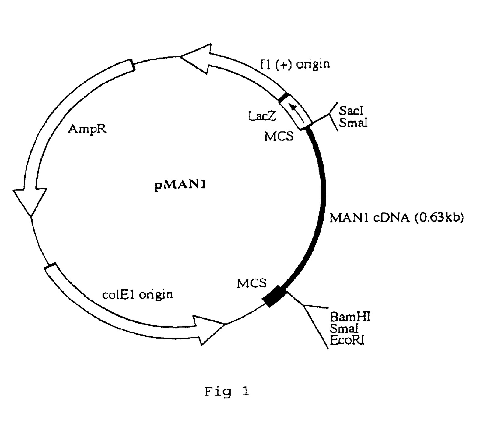 Preparation of Raw Mannan and Mannanase from Palm Oil Cake:Food ...