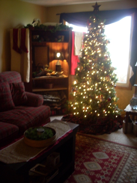 Fishtail Curtains For Large Windows