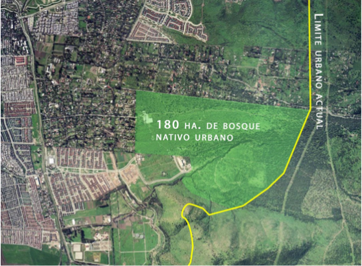 Parque Panul | frank patiño