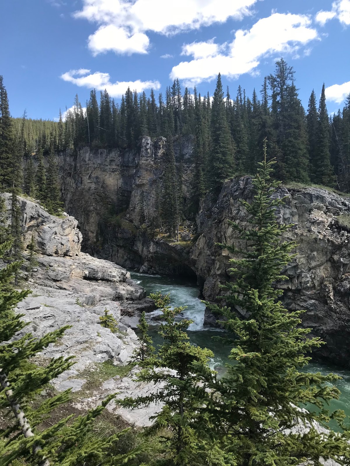 The view from here: Hummingbird Falls June 17, 2018