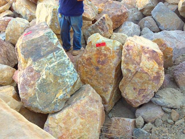 Things to Ponder: Palm Springs Gold