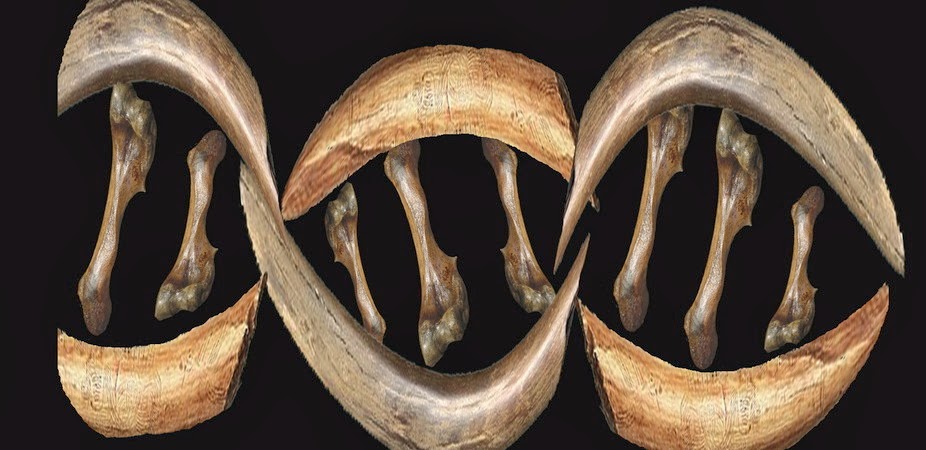 Thinktank: Does Dinosaur DNA still exist? -Part I