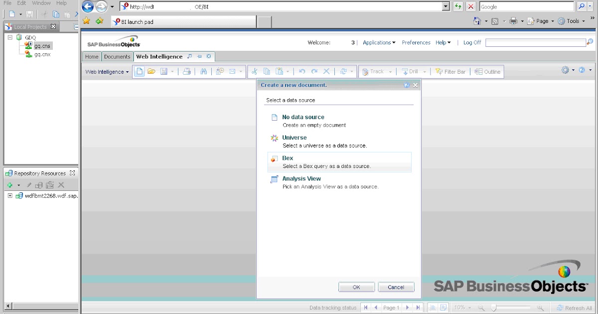 Business Intelligence With Sap Business Objects Reporting On Bex Query In Webi 40