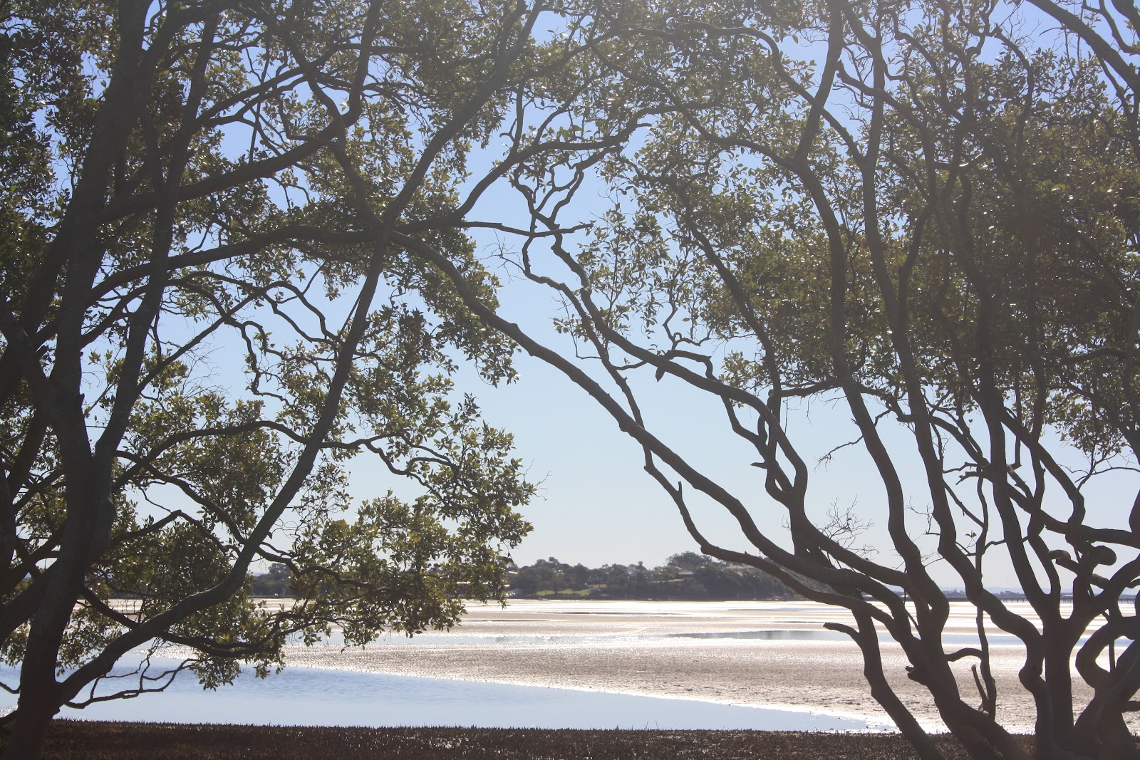 Mik's Random Adventures: NUDGEE BEACH