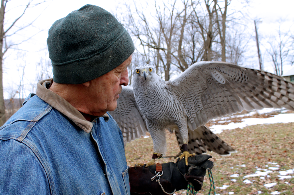 Falconry Weathering Area