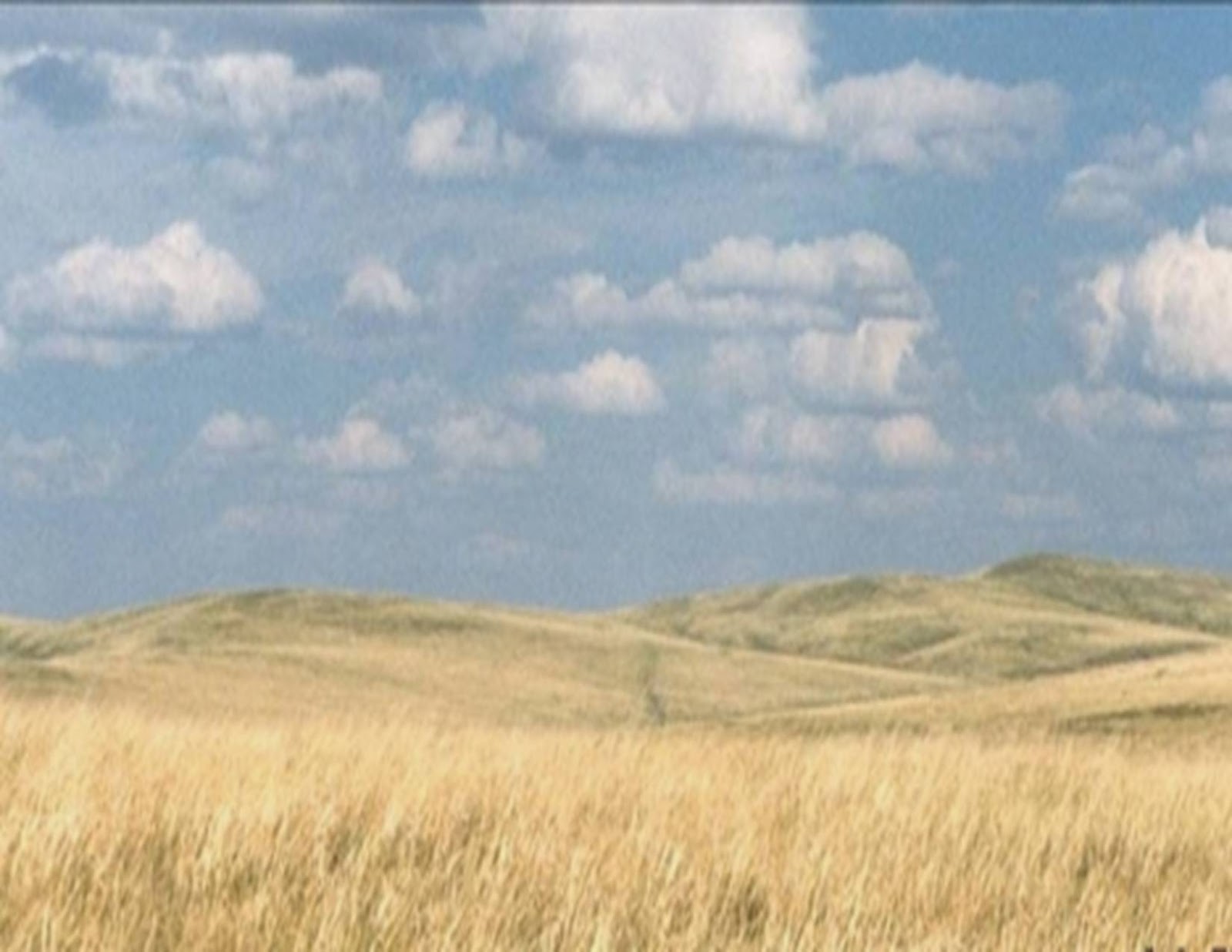 Biologi - Lingkungan Hidup: Bioma-Bioma Penyusun Biosfer di Bumi