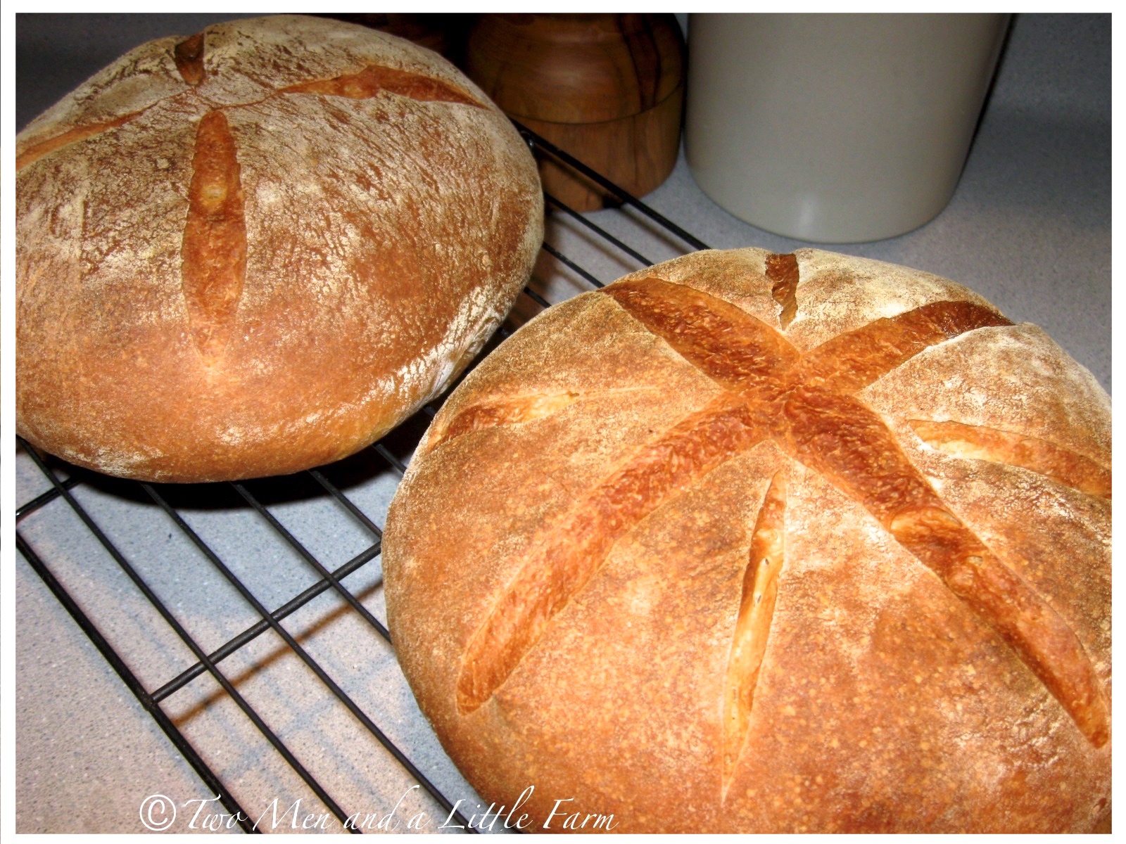 Two Men and a Little Farm: BREAD A FRIDAY FUNNY