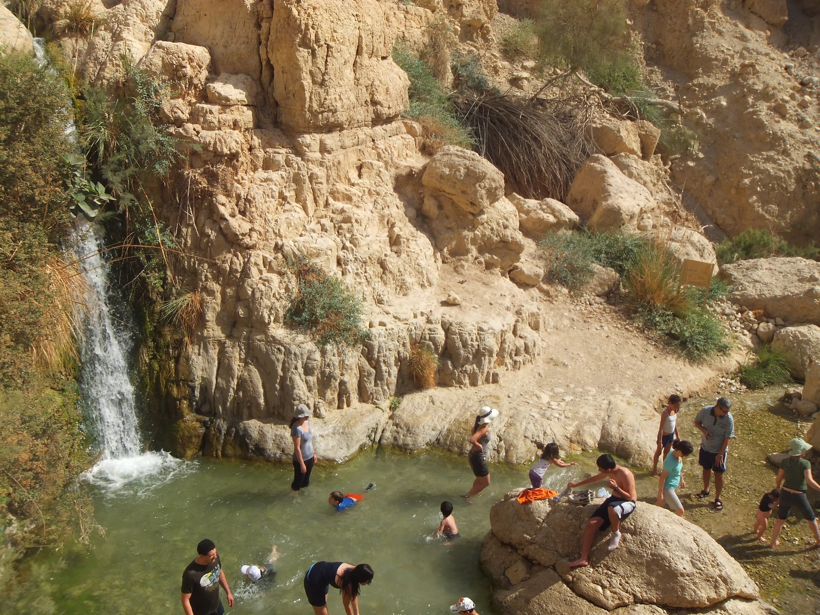 David and Saul at Ein Gedi